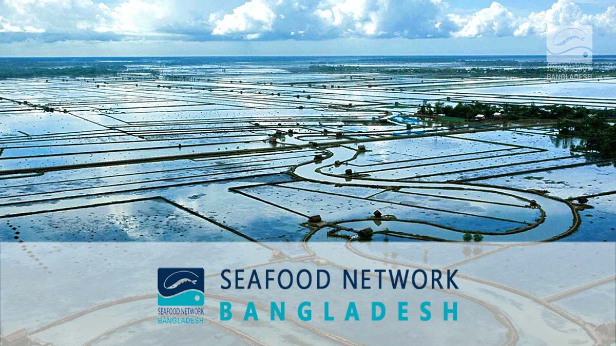 Shrimp, fisheries news and business insight | Seafood Network BD