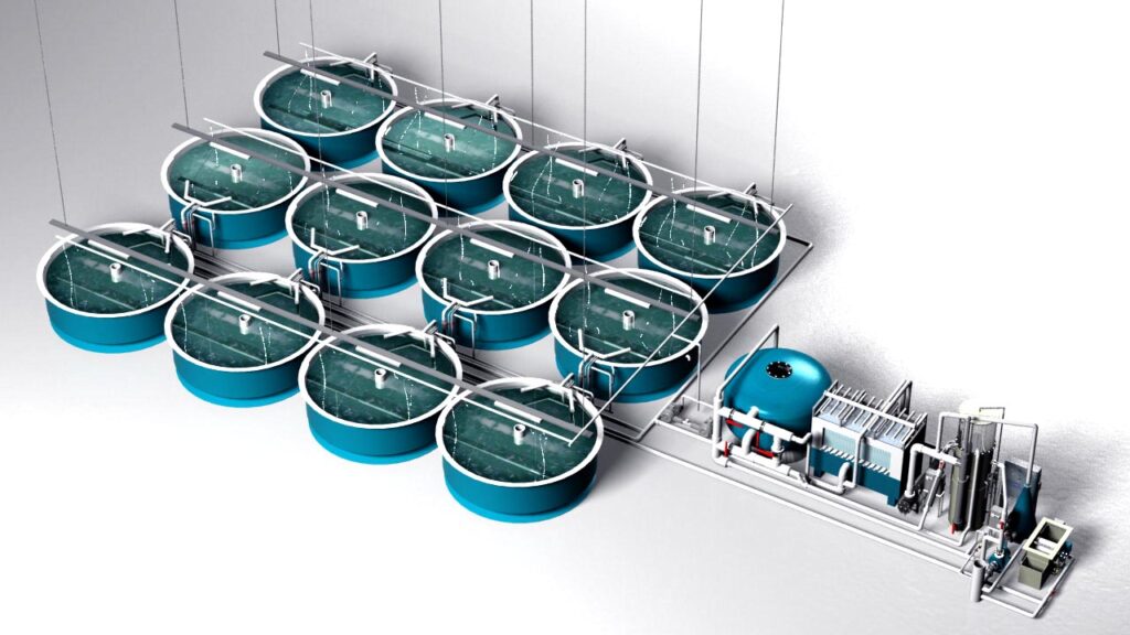 Facts of Recirculating Aquaculture System | Seafood Network BD