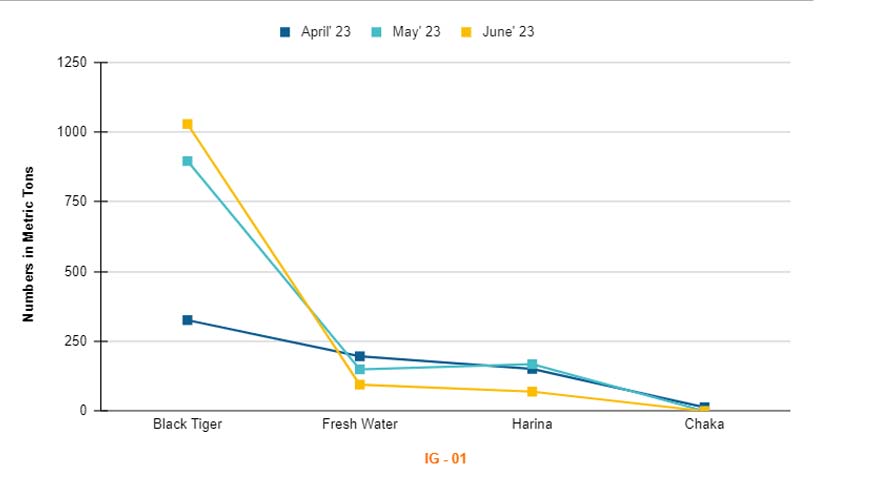 June 2023, Shrimp Export Infographic, Khulna | Seafood Network BD
