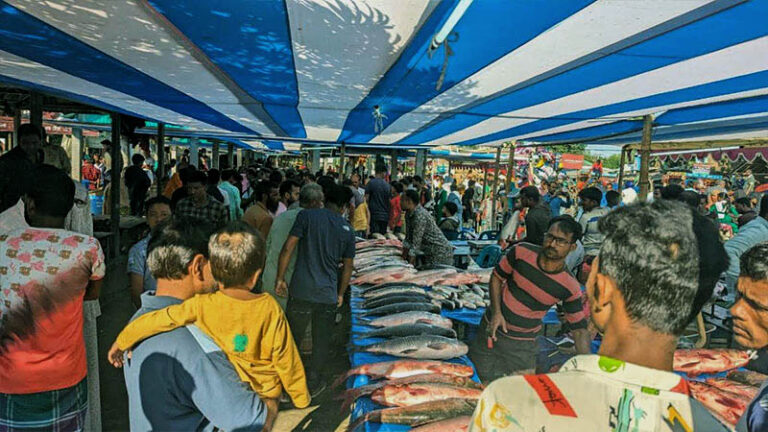 "Jamai mela" an unique one-day fish fair | Seafood Network BD